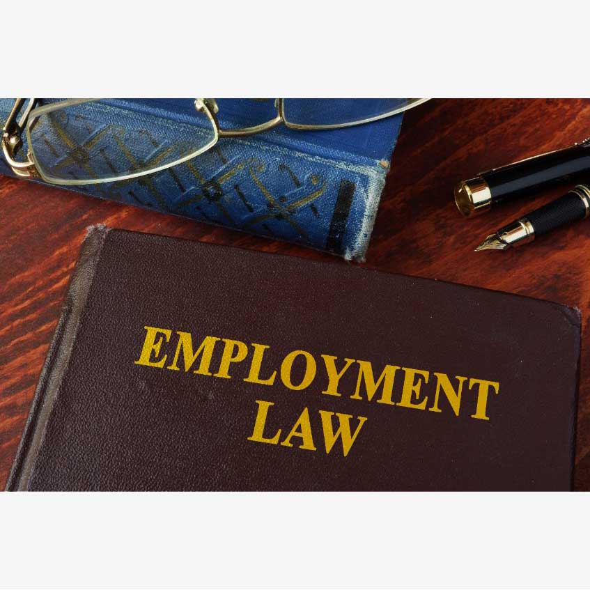 What Does Employment Law Cover 